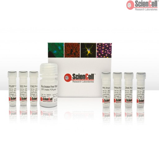 Sciencell Kit for Stem Cell Research - Team Medical & Scientific Sdn Bhd