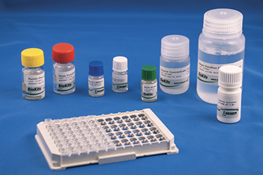 BioKits BLG Assay Kit - Team Medical & Scientific Sdn Bhd